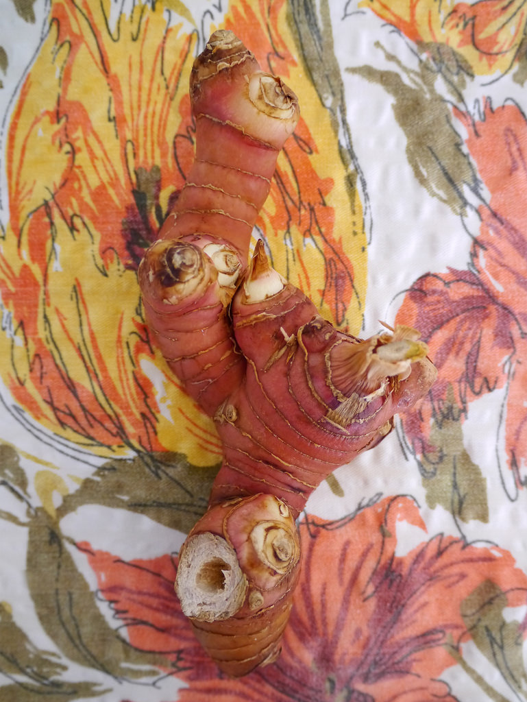 A poem a day - Haiku - Galangal - Padaek