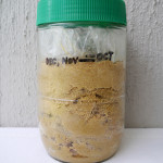 Lao Food Archives - Padaek